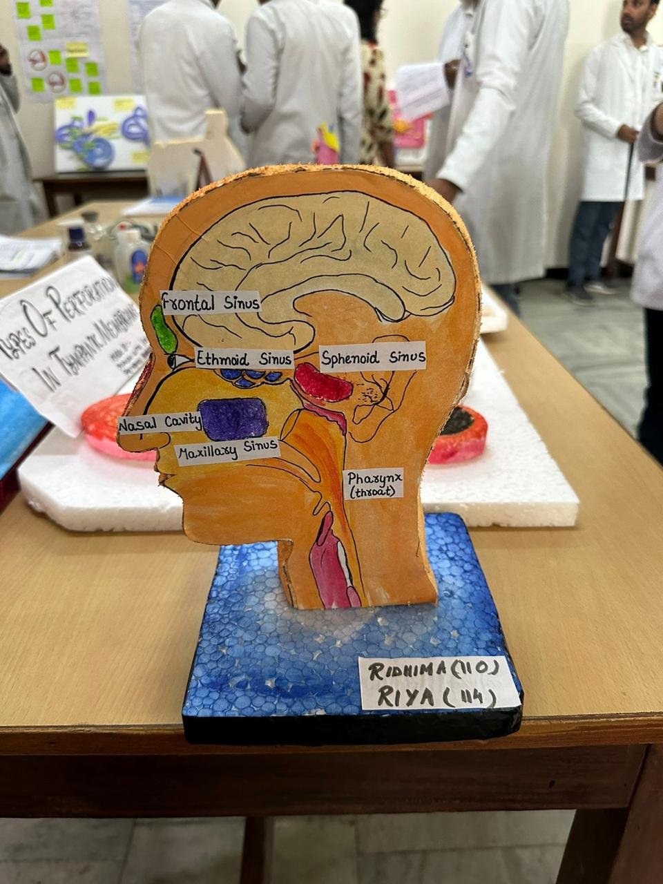 ENT Model Presentation - VARUN ARJUN UNIVERSITY